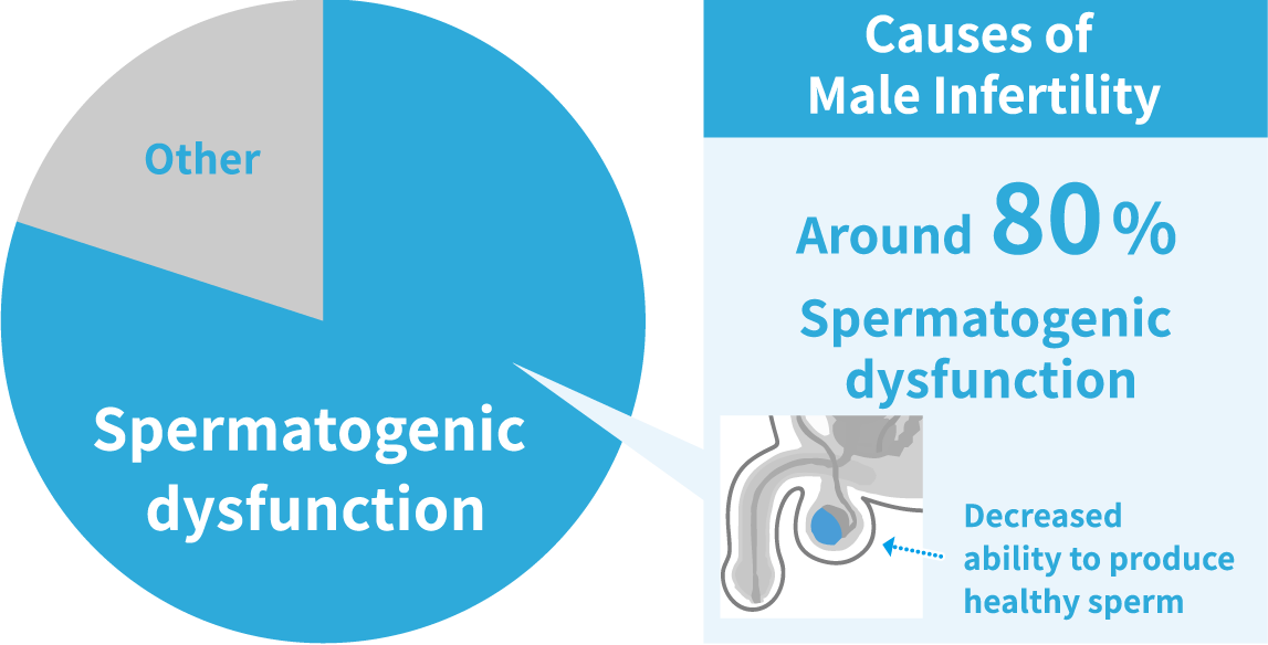Male Infertility – SOLARIA CLINIC TOKYO GINZA UROLOGY